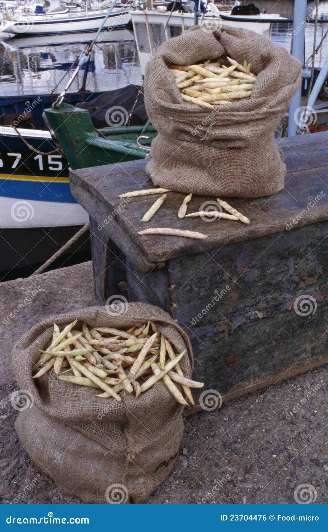 Paimpol White Haricot Beans Stock Photo - Image of vegetable ...