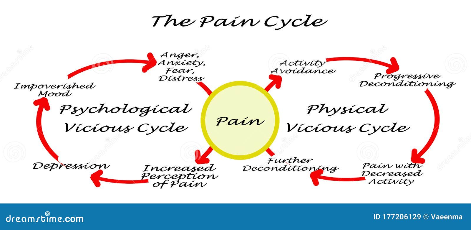 Psychology Physiology Icon Human Brain Activity Stock Photography ...
