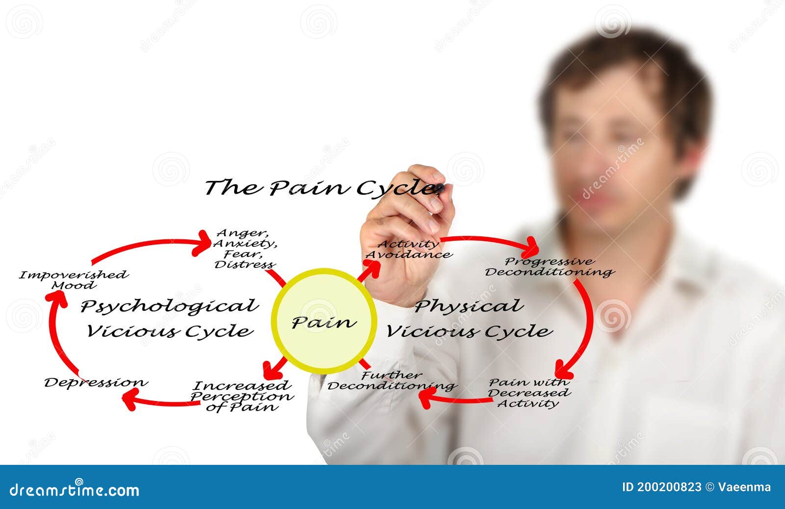 Pain Cycle stock image. Image of increased, drawing - 200200823