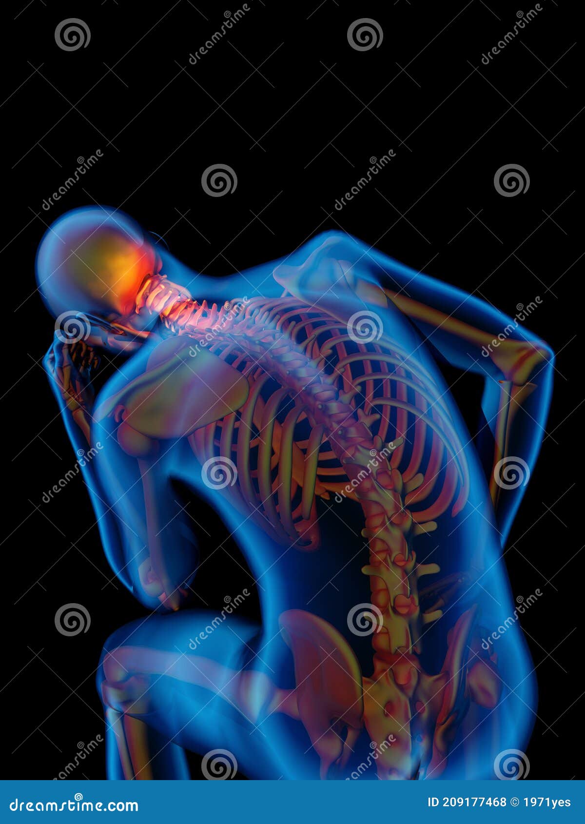 Pain stock illustration. Illustration of anatomical - 209177468