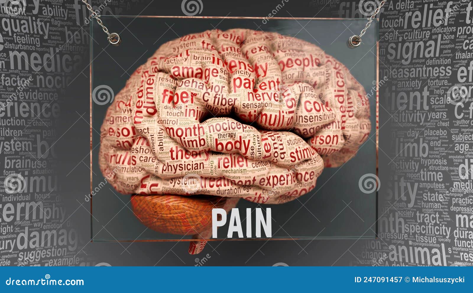 Pain in human brain stock illustration. Illustration of mind - 247091457
