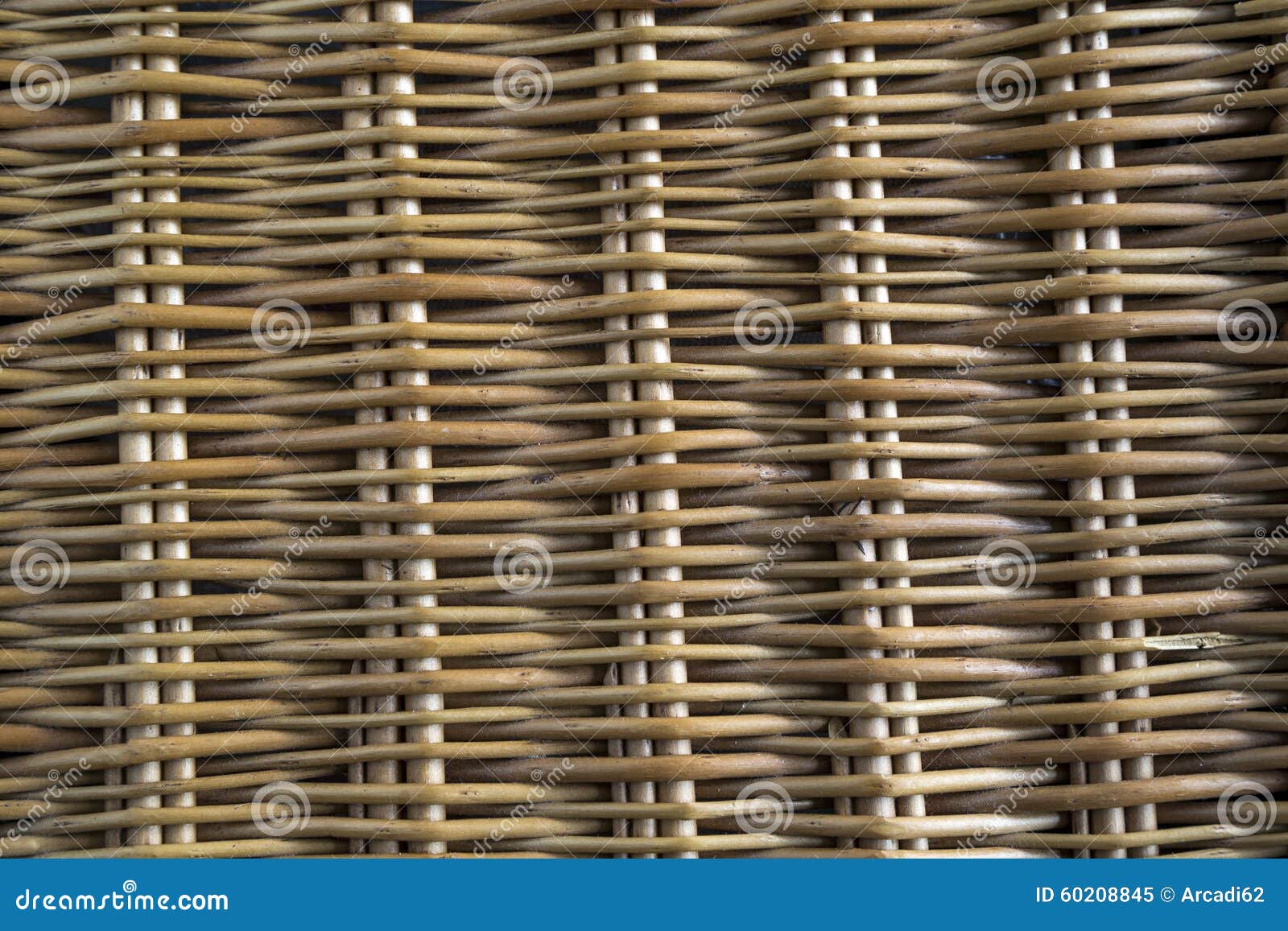 Painel De Vime De Uma Haste Imagem de Stock - Imagem de videiras ...