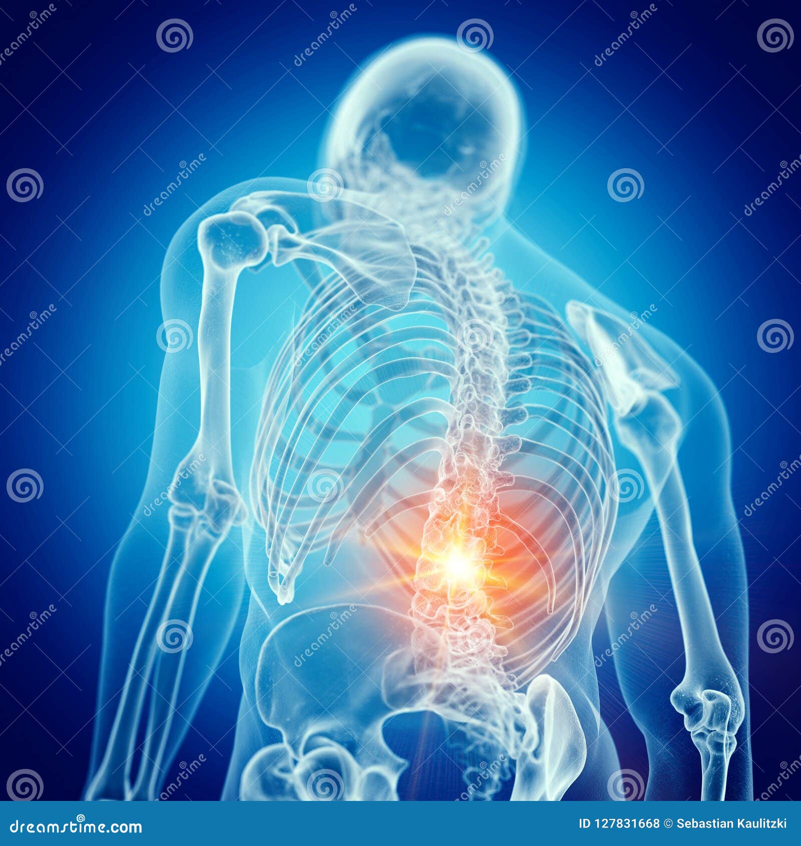 Back Lower Stock Illustrations – 2,005 Back Lower Stock Illustrations ...