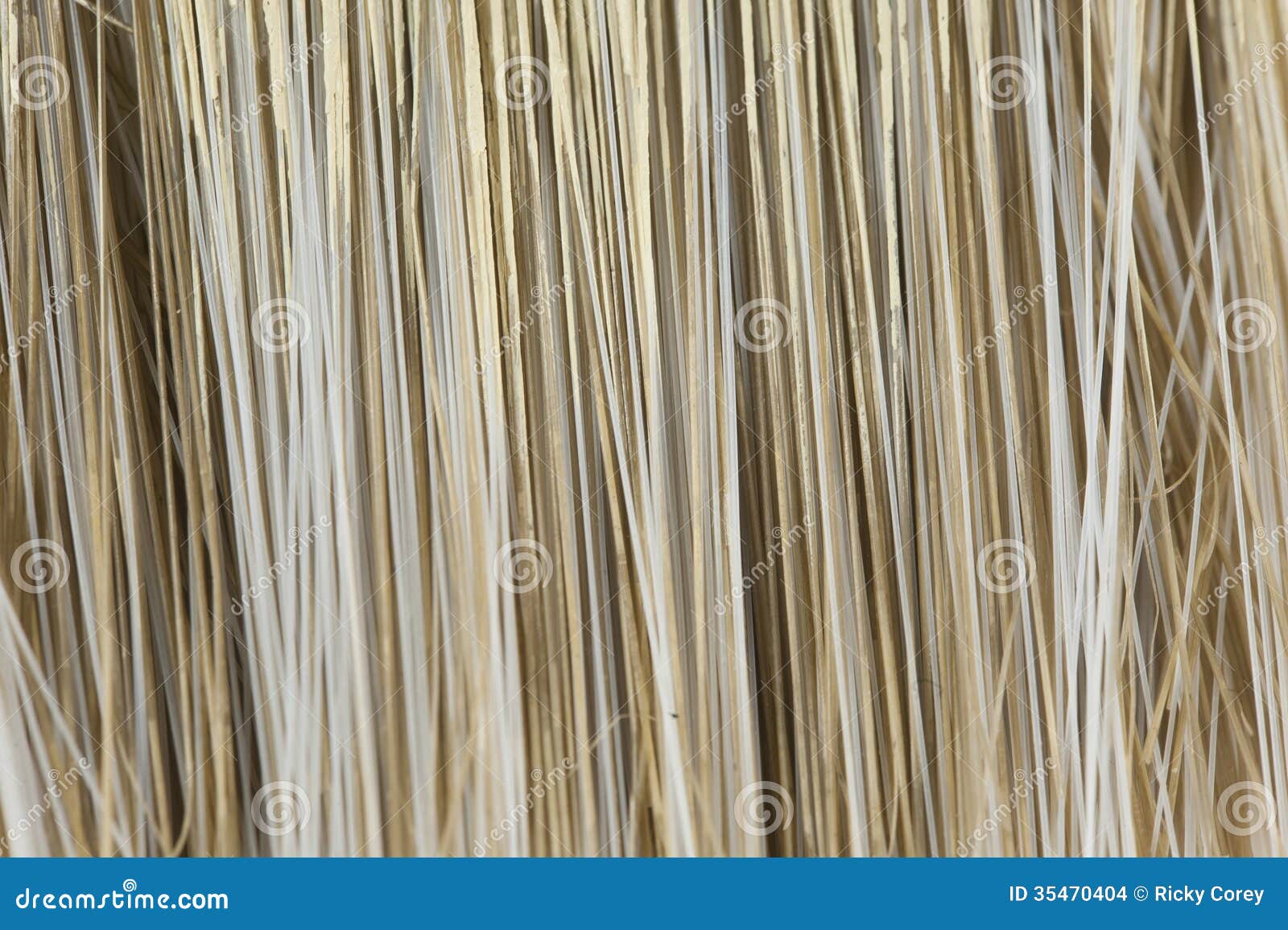Paint Brush Bristles stock photo. Image of brush, bristle - 35470404