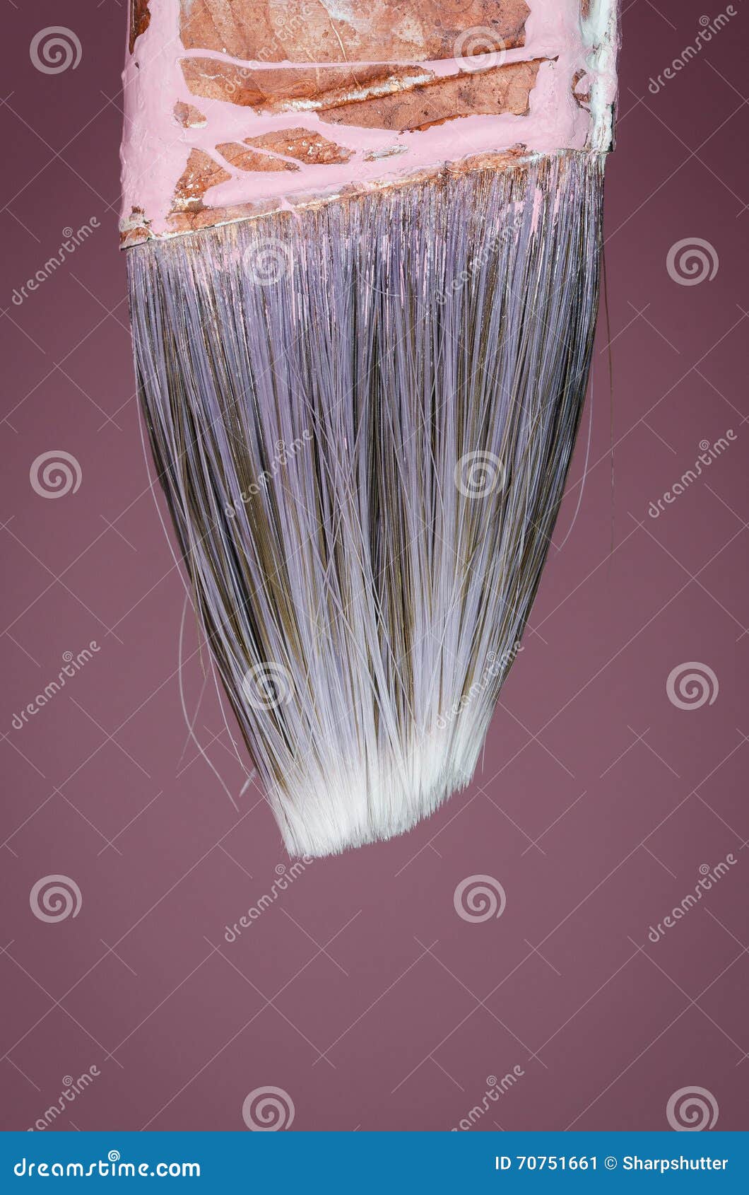 Paint brush dip stock image. Image of fresh, decorate - 70751661