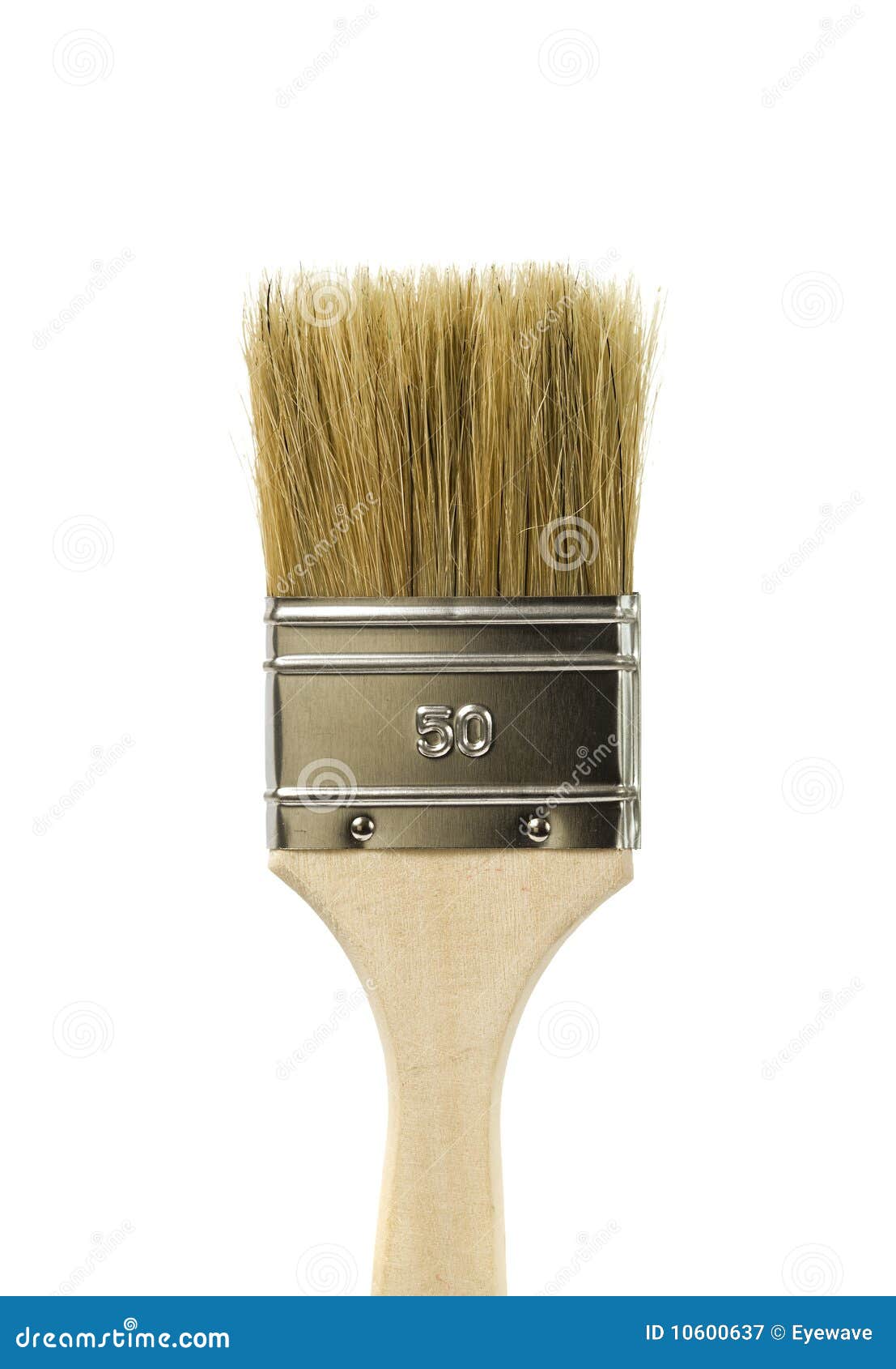 Paint brush isolated stock image. Image of white, equipment - 10600637