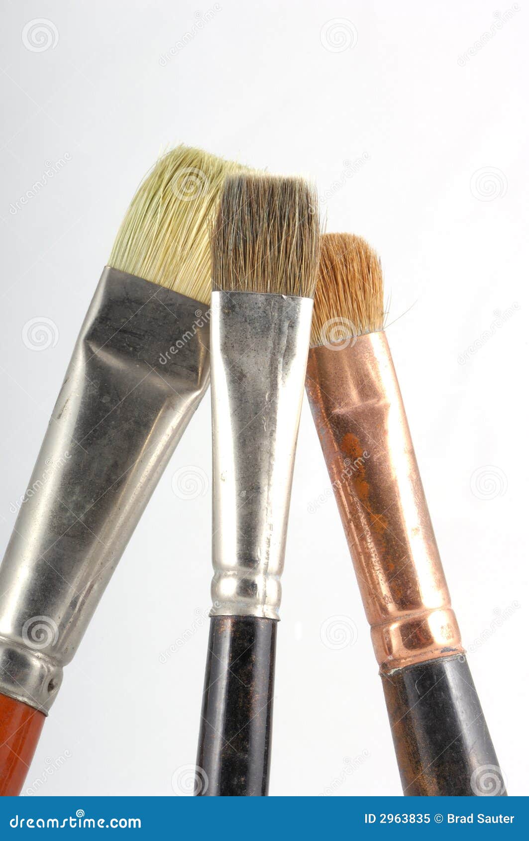 Paint Brushes stock image. Image of brushes, studio, painter - 2963835