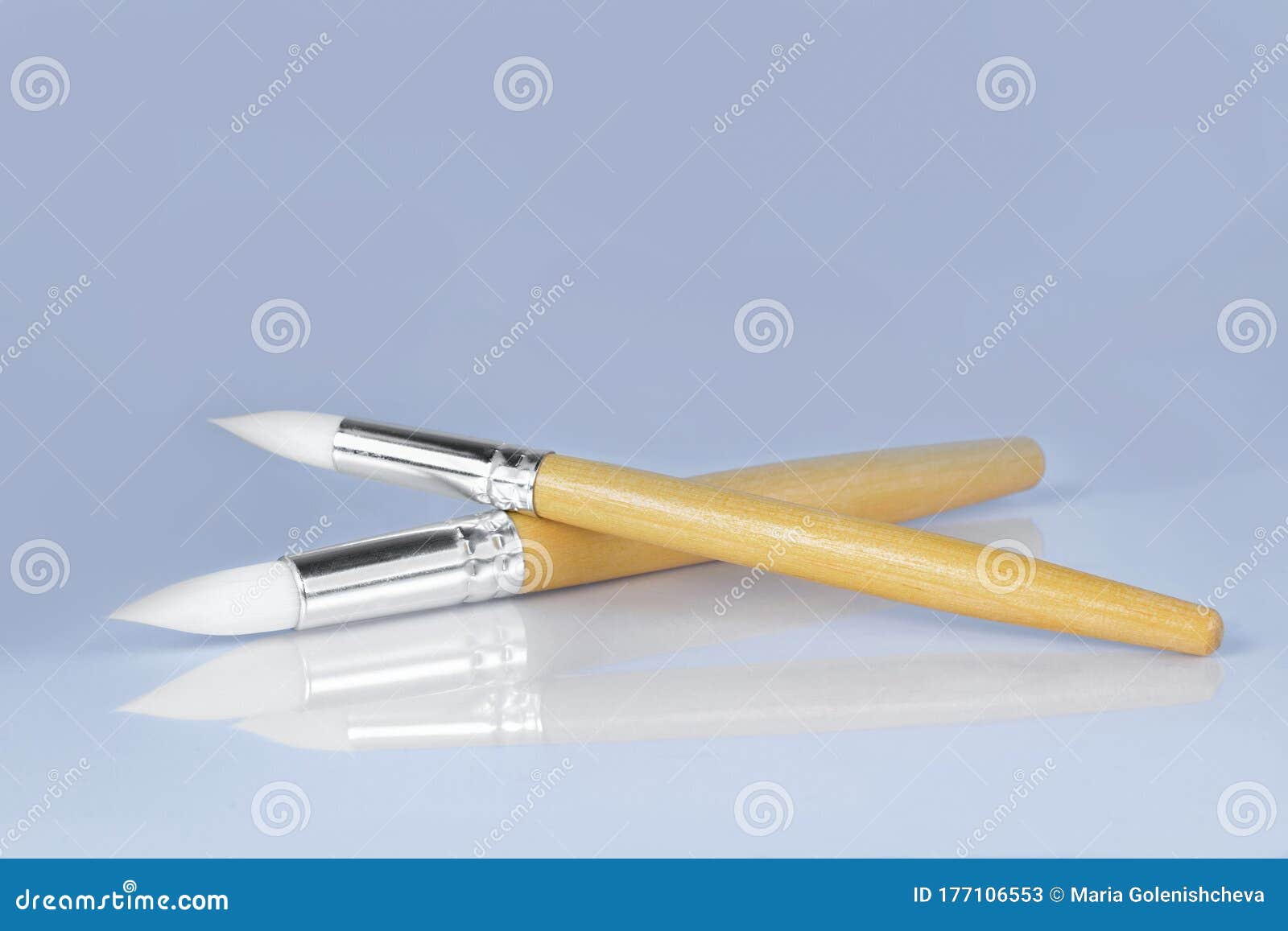 2 Paint Brushes on Gray Background, Front View Stock Image - Image of ...