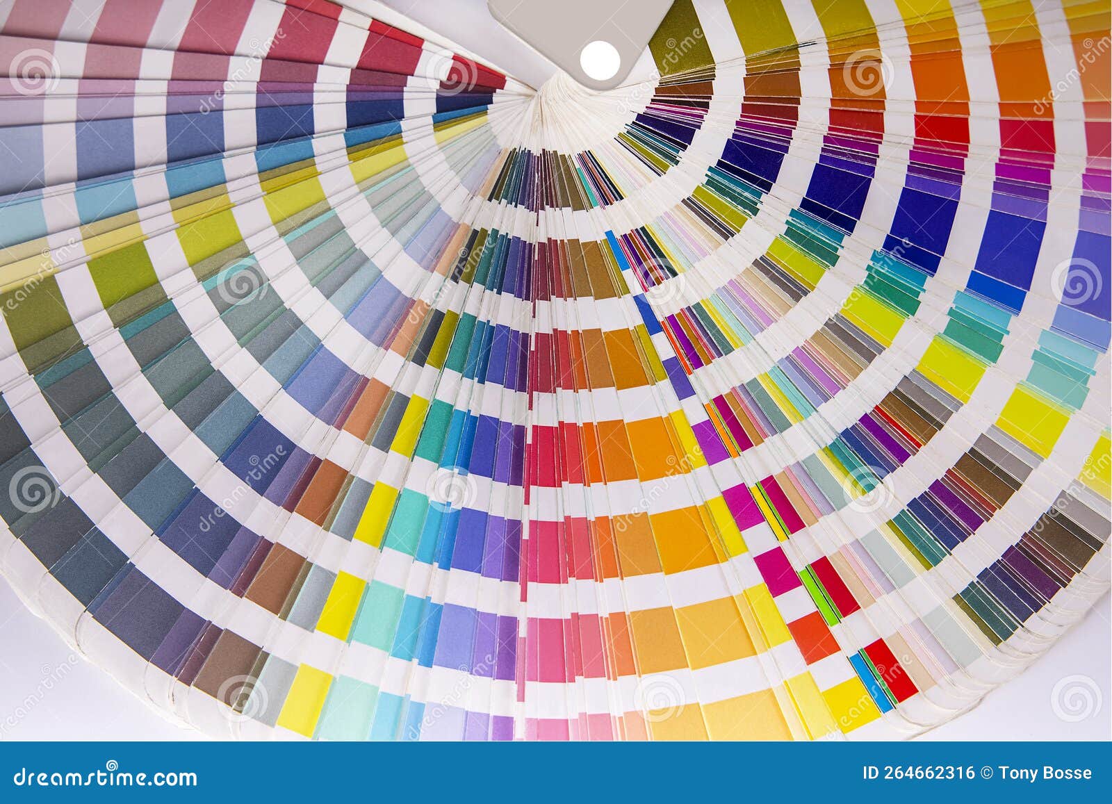 Paint Color Palette stock photo. Image of selection - 264662316