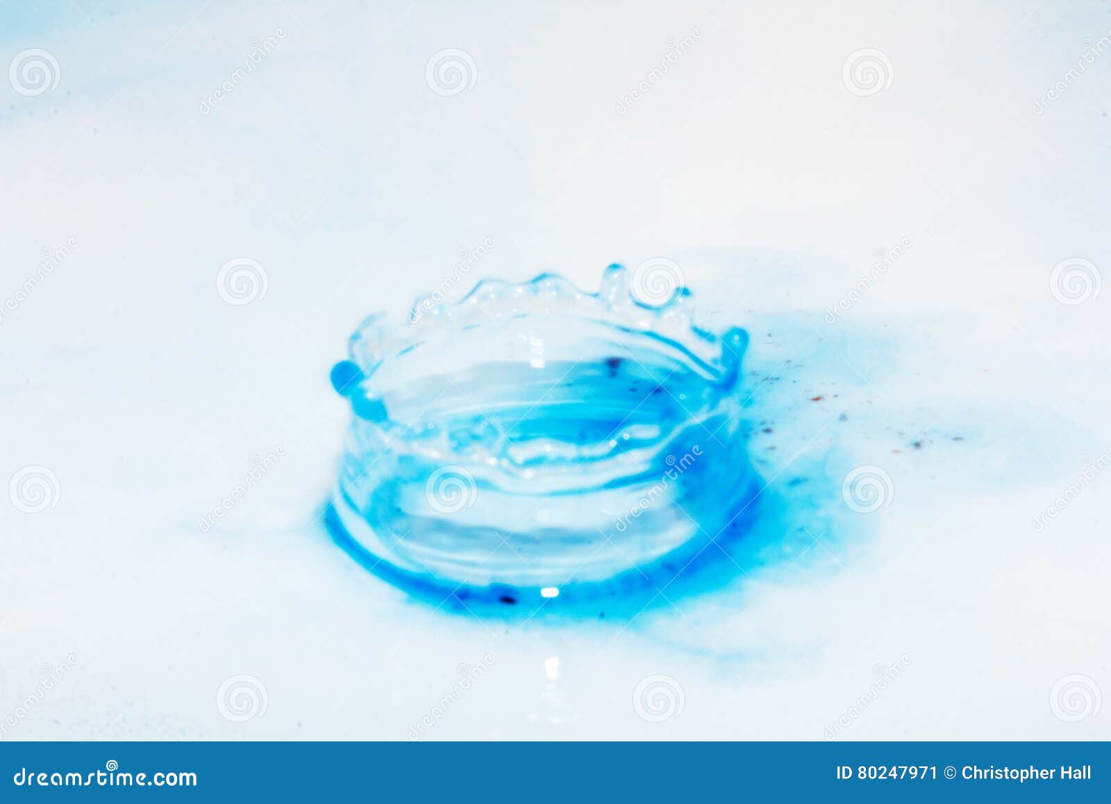 Paint Drop Splashing on Black a Background Stock Image - Image of ...