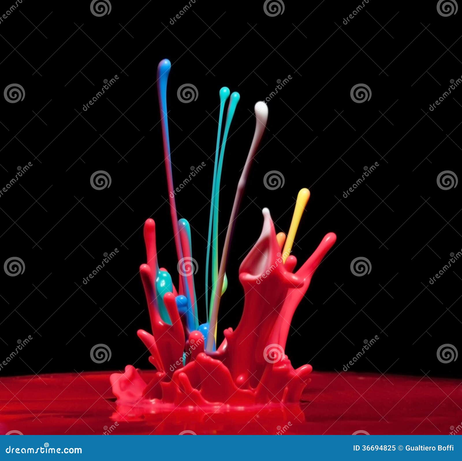 Paint explosion stock image. Image of drop, macro, paint - 36694825