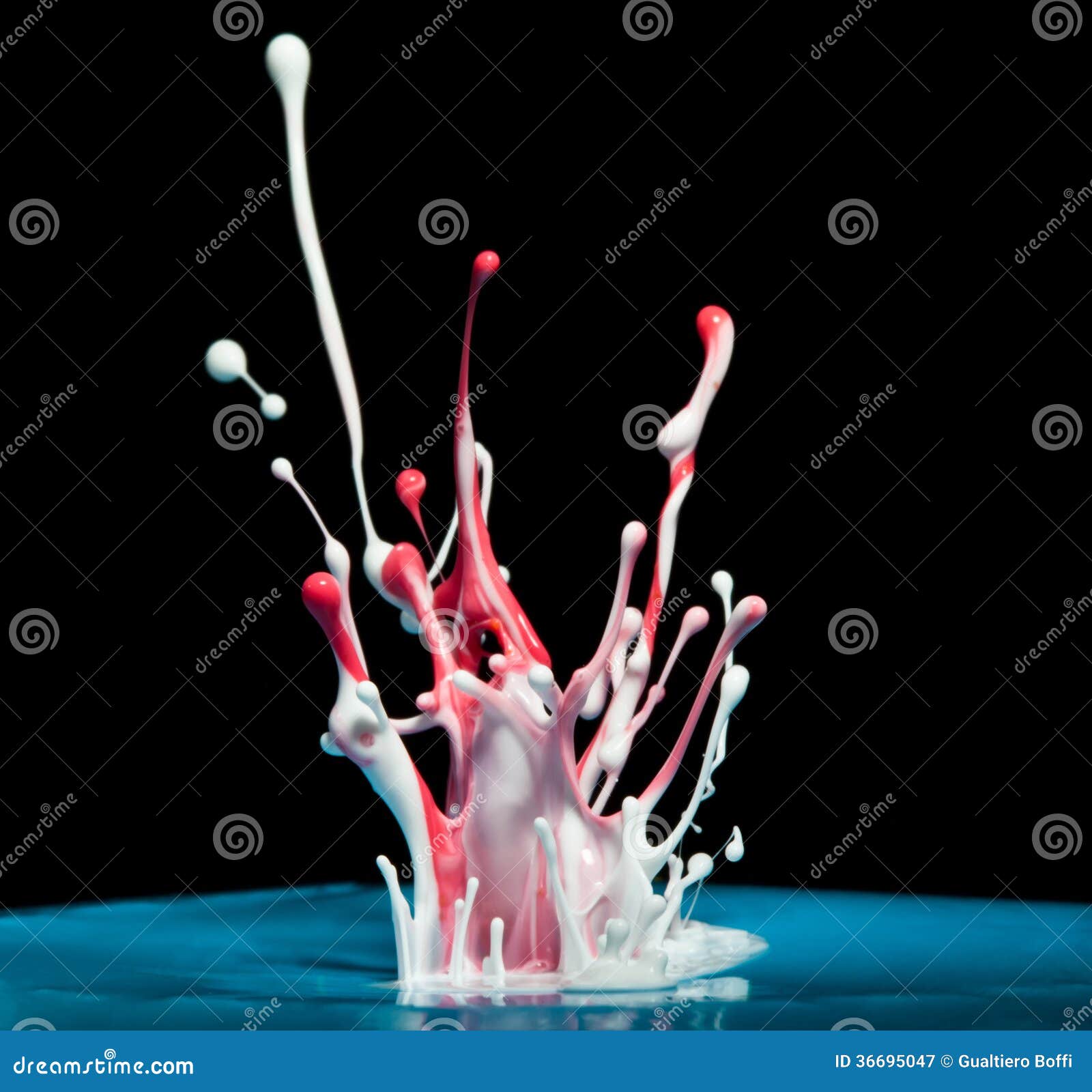 Paint explosion stock image. Image of paint, macro, explosion - 36695047