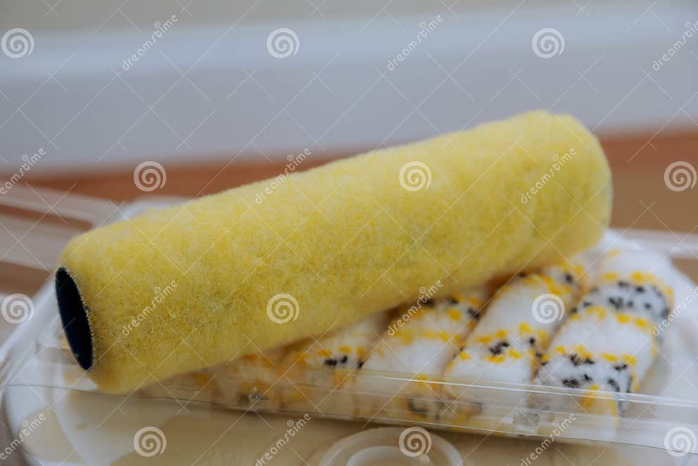 Paint Rollers of Different Sizes for Painting in the Walls and Ceiling ...