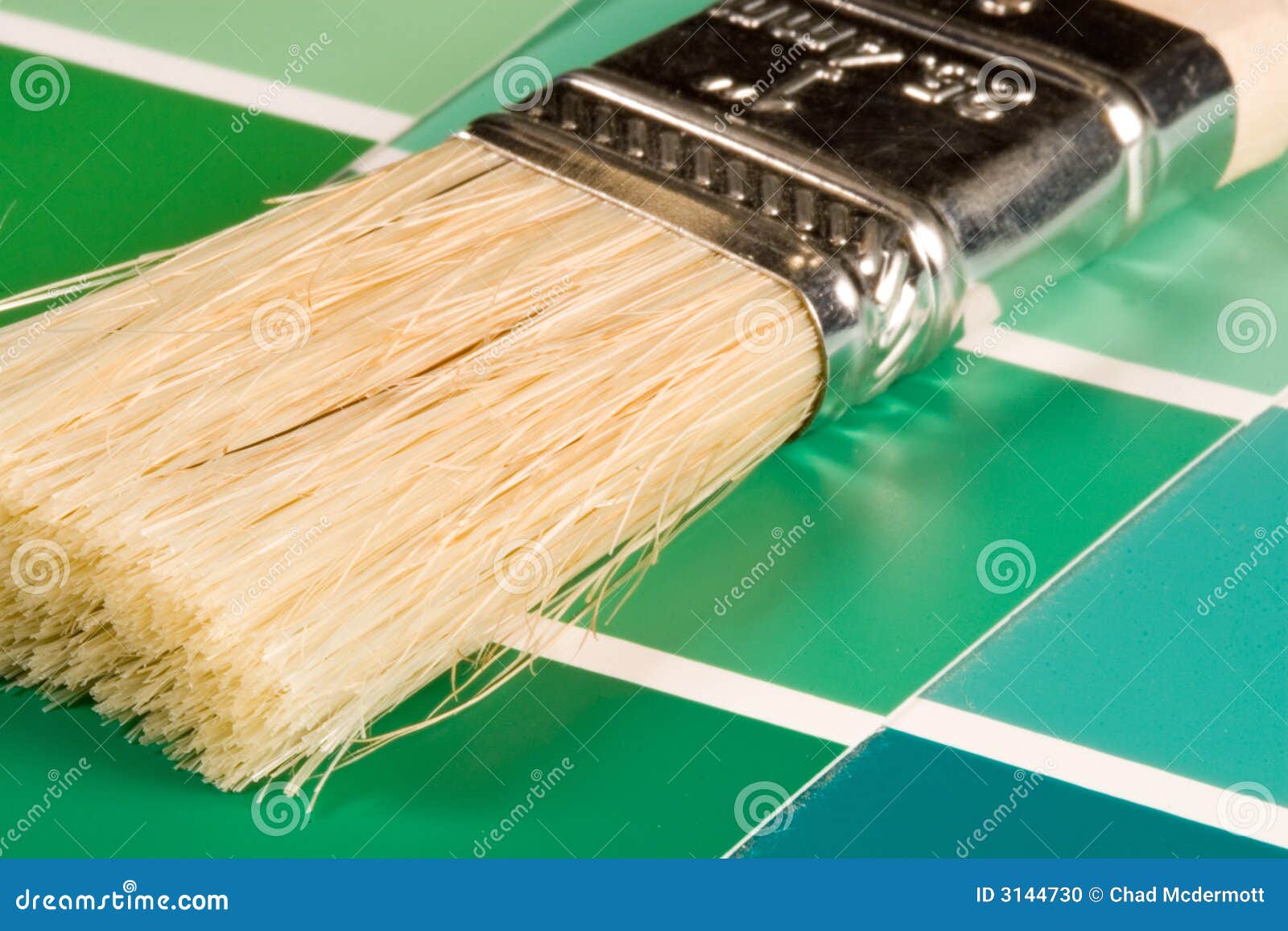 Paint Samples stock photo. Image of cmyk, renovation, match - 3144730