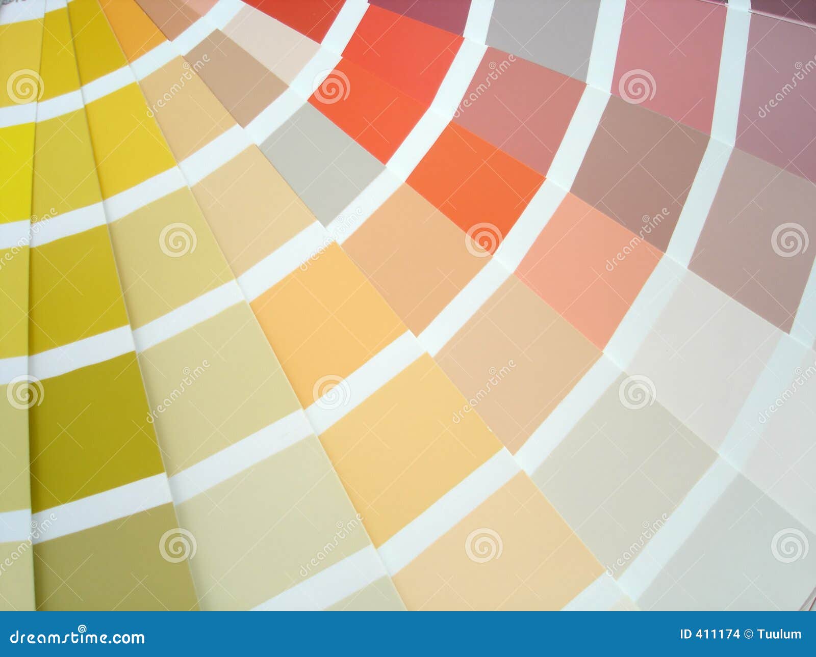 Paint samples stock photo. Image of brown, paint, samples - 411174