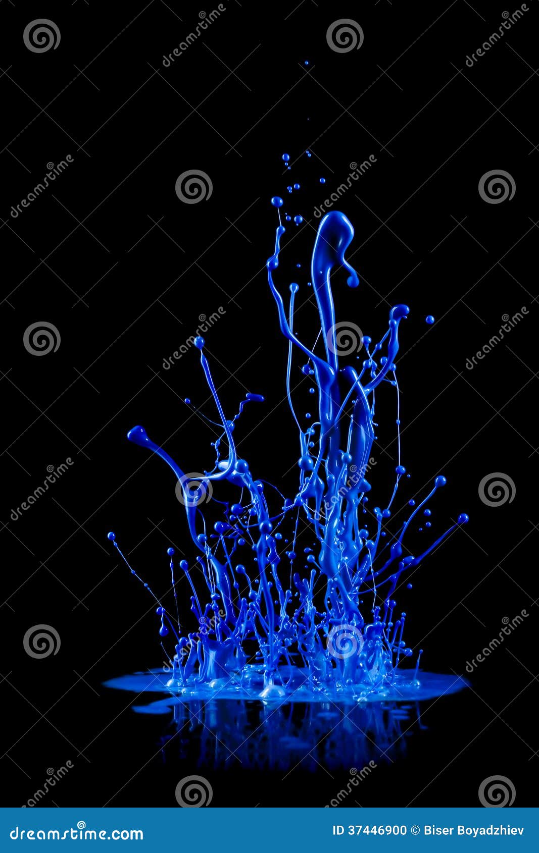 Paint splash stock photo. Image of flow, black, motion - 37446900