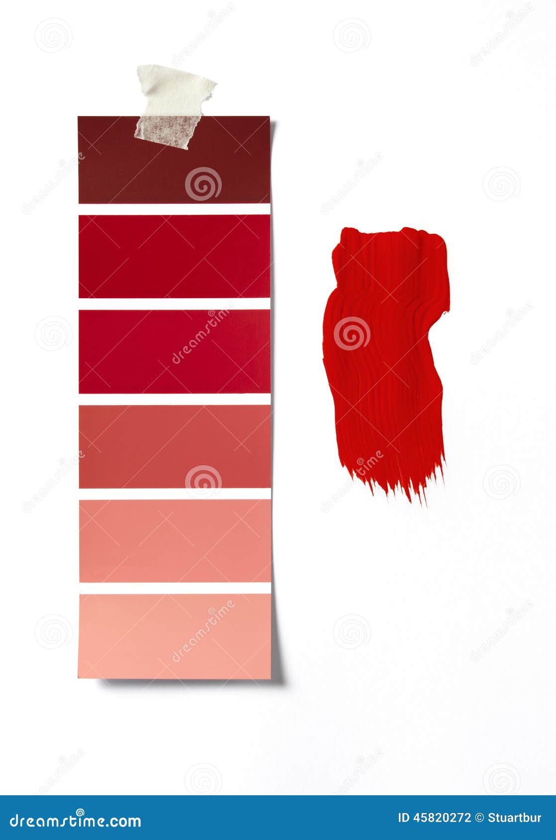 Paint Swatch stock photo. Image of designer, color, chart - 45820272