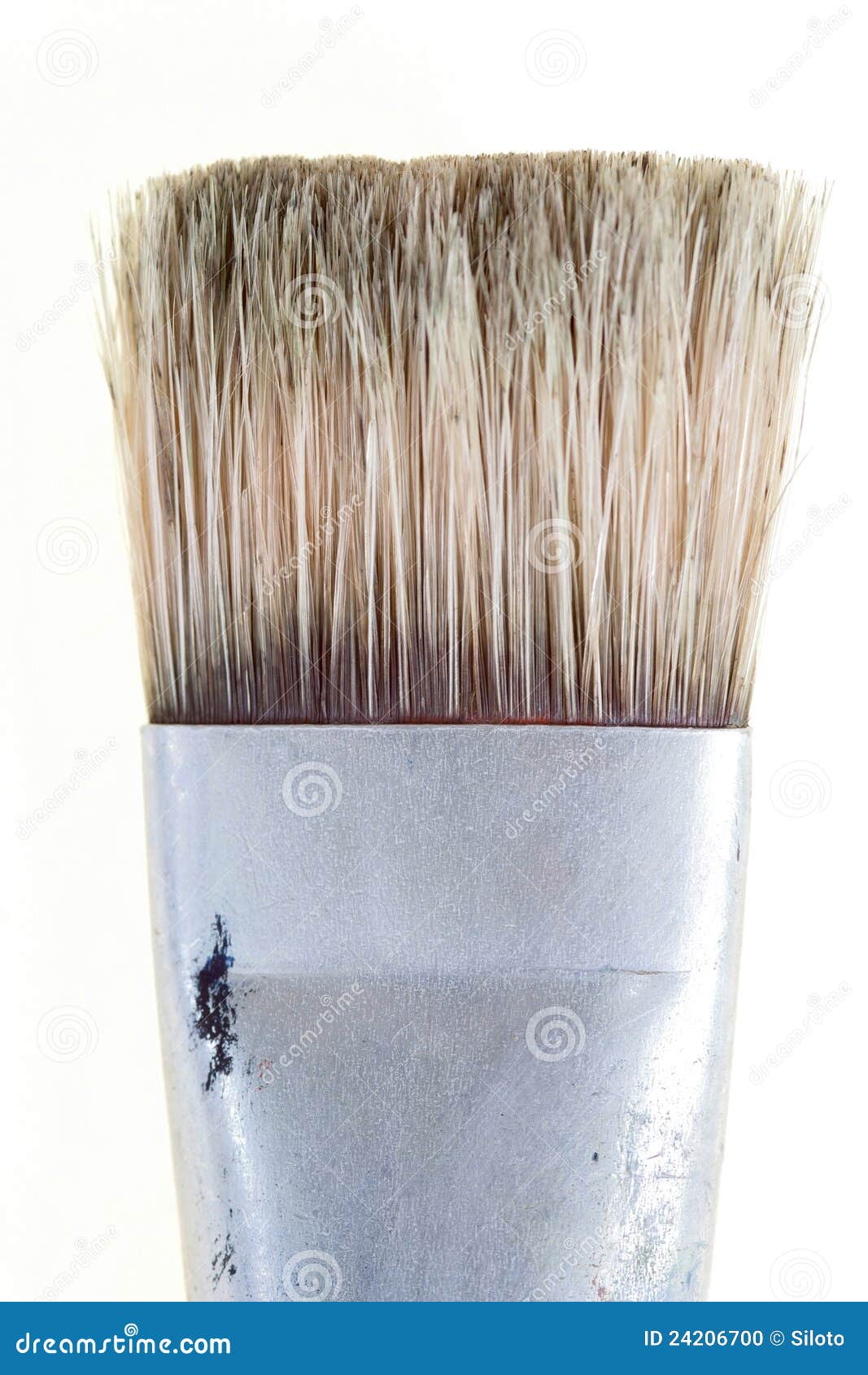 Paintbrush stock photo. Image of brush, flat, stiff, isolated - 24206700