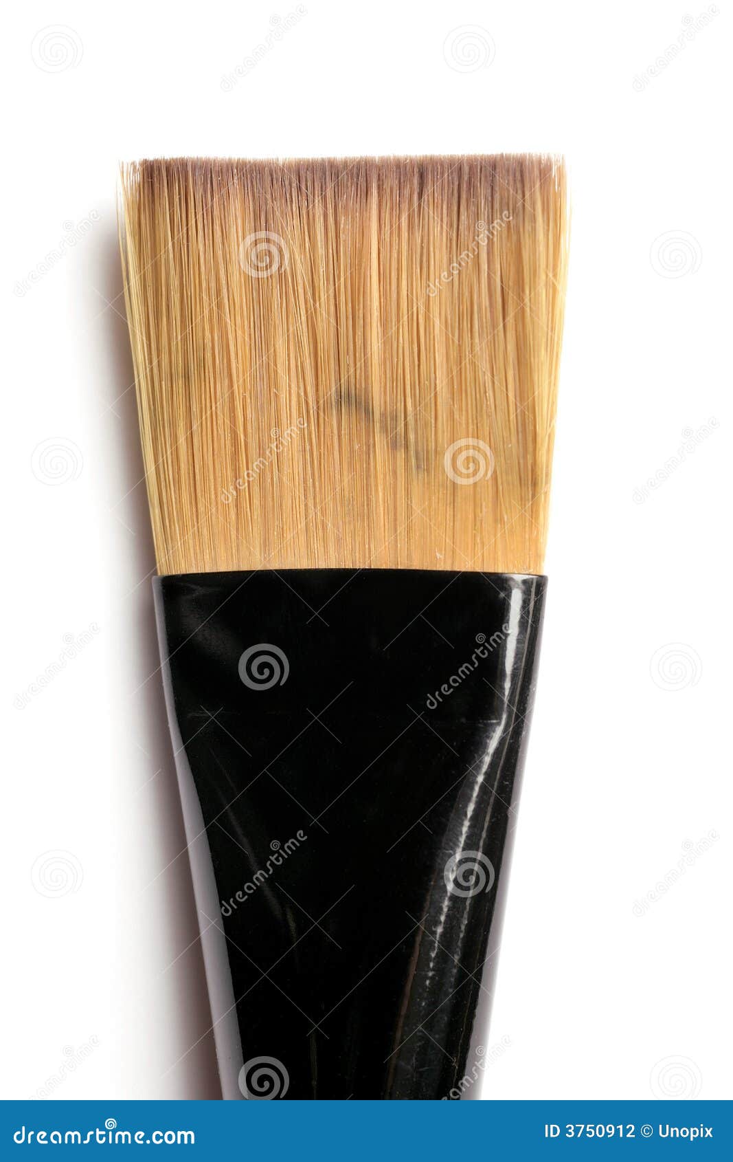 Paintbrush stock photo. Image of white, bristle, close - 3750912