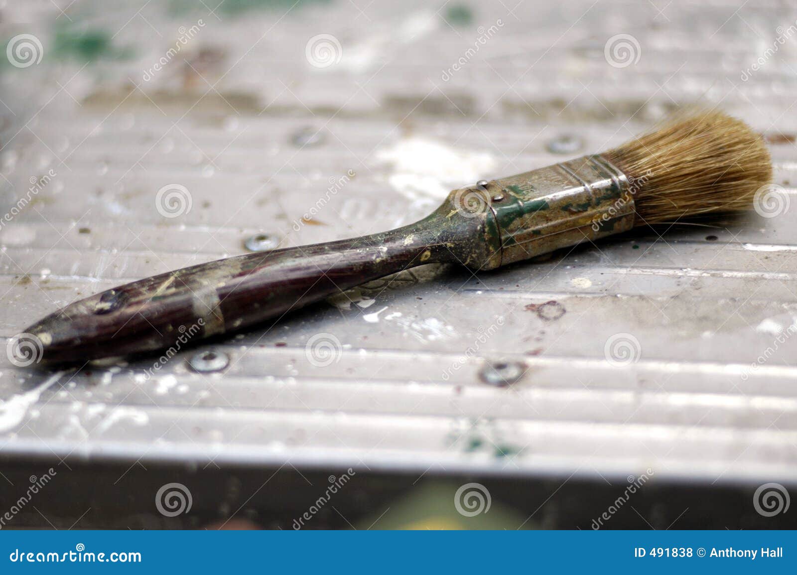 Paintbrush stock photo. Image of finish, trim, gloss, decorator - 491838