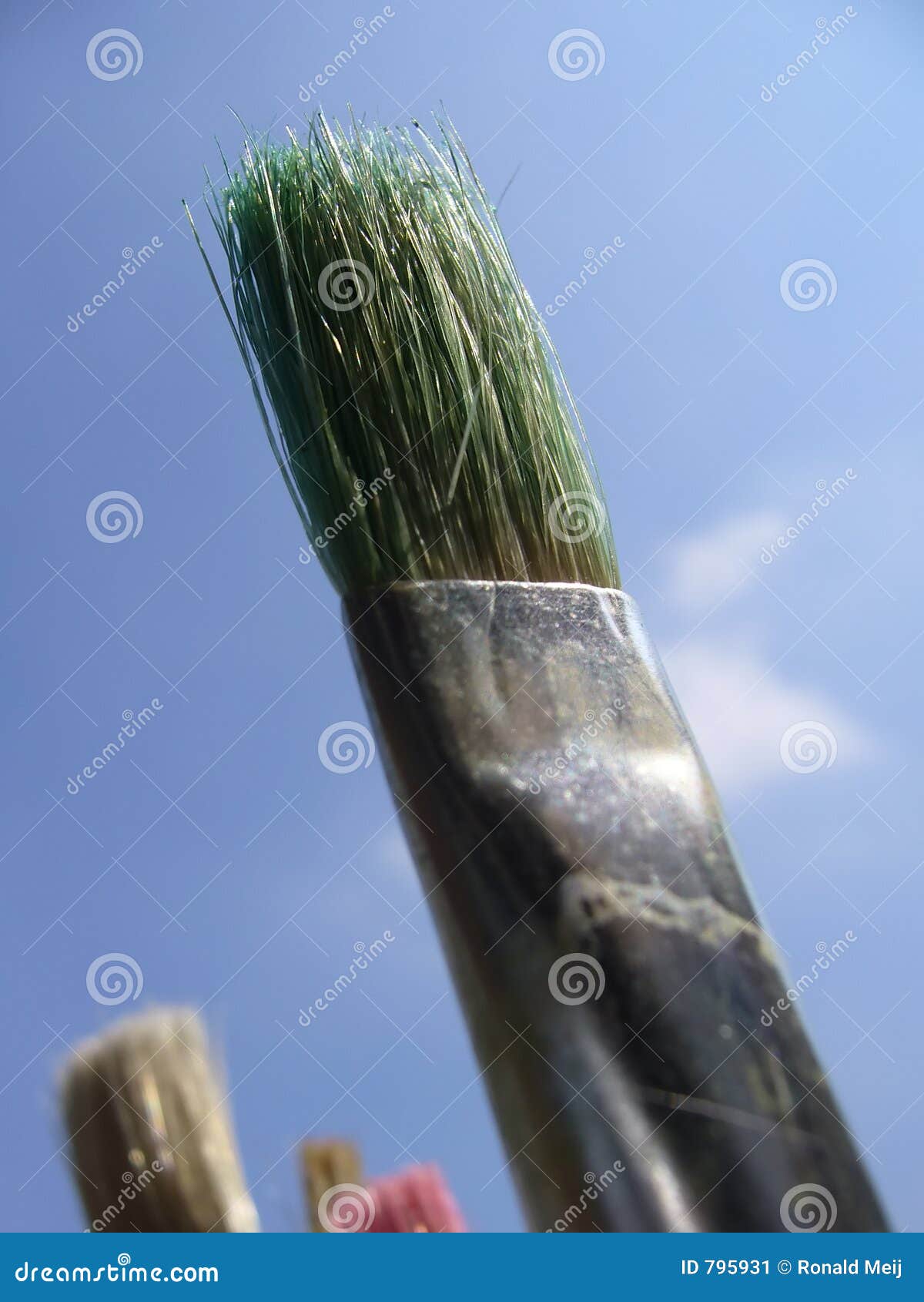 Paintbrush Picture. Image: 795931