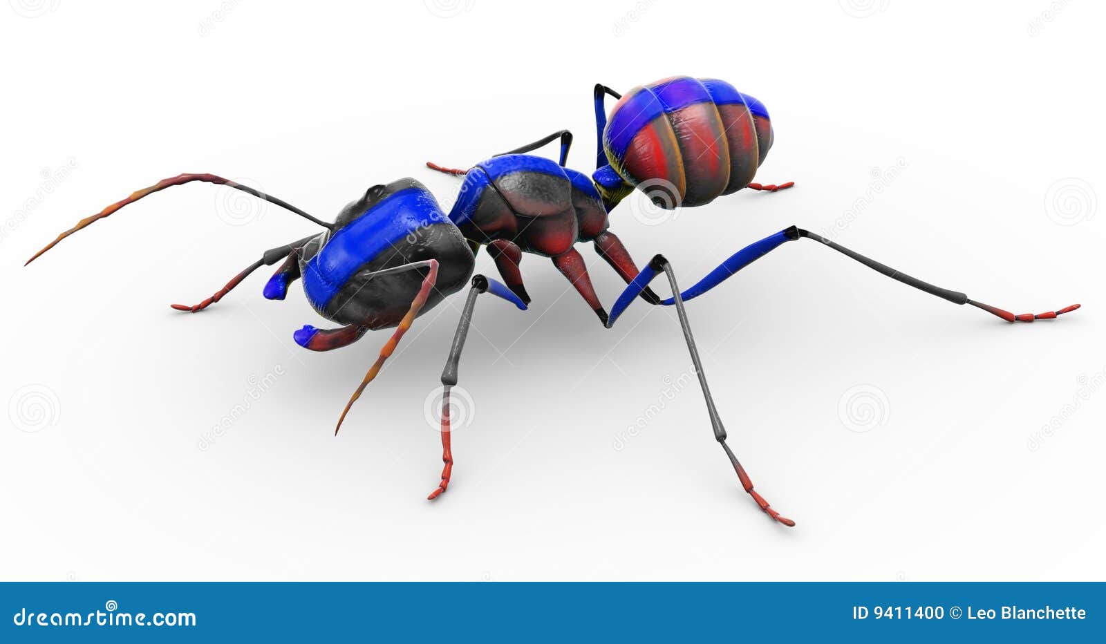 Painted Ant Looking Pretty Picture. Image: 9411400