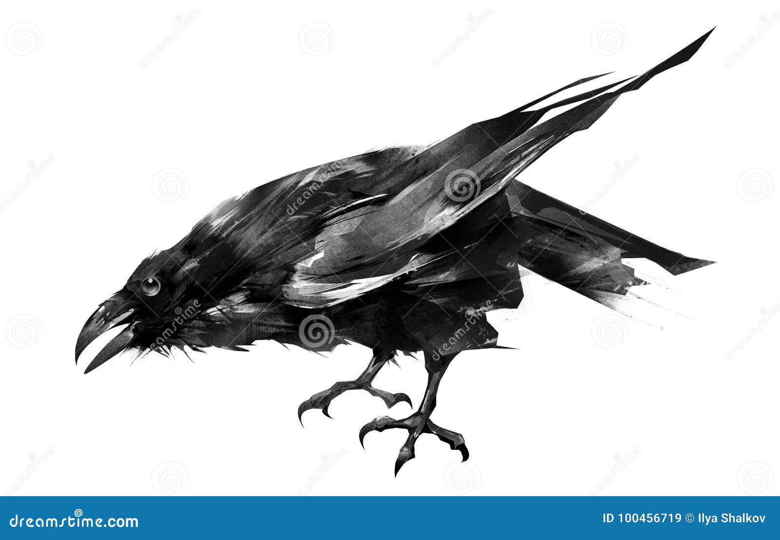 The Painted Bird is a Raven Sitting on a White Background Stock ...
