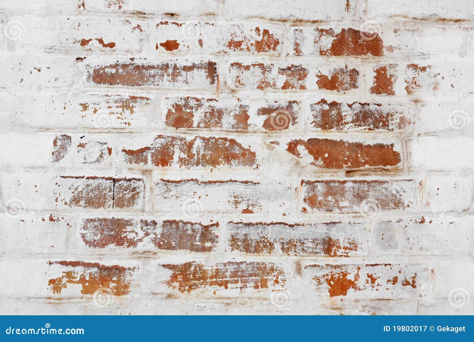 Painted brick wall stock image. Image of color, rectangle - 19802017