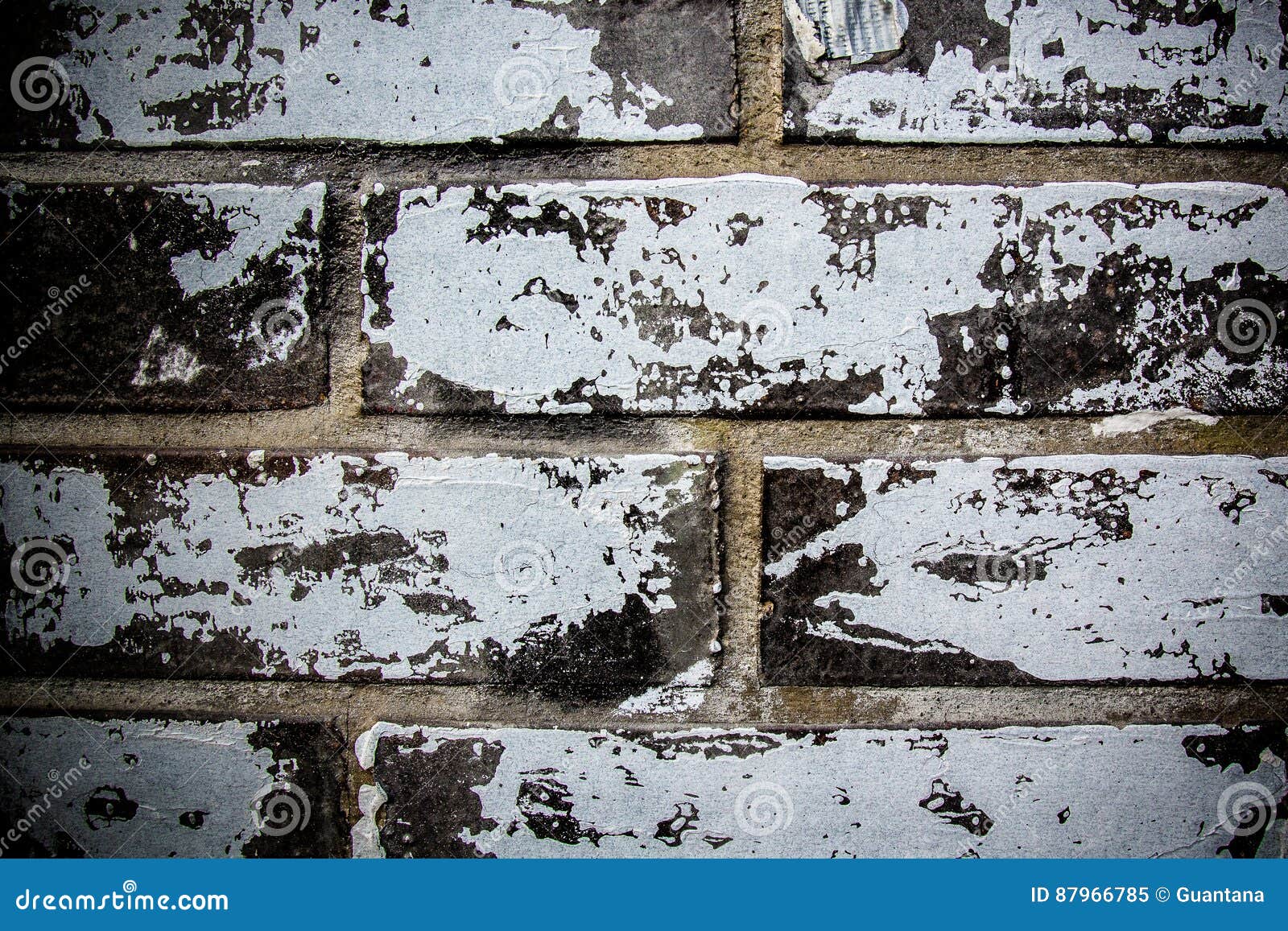 Painted brick wall texture stock image. Image of monochrome - 87966785