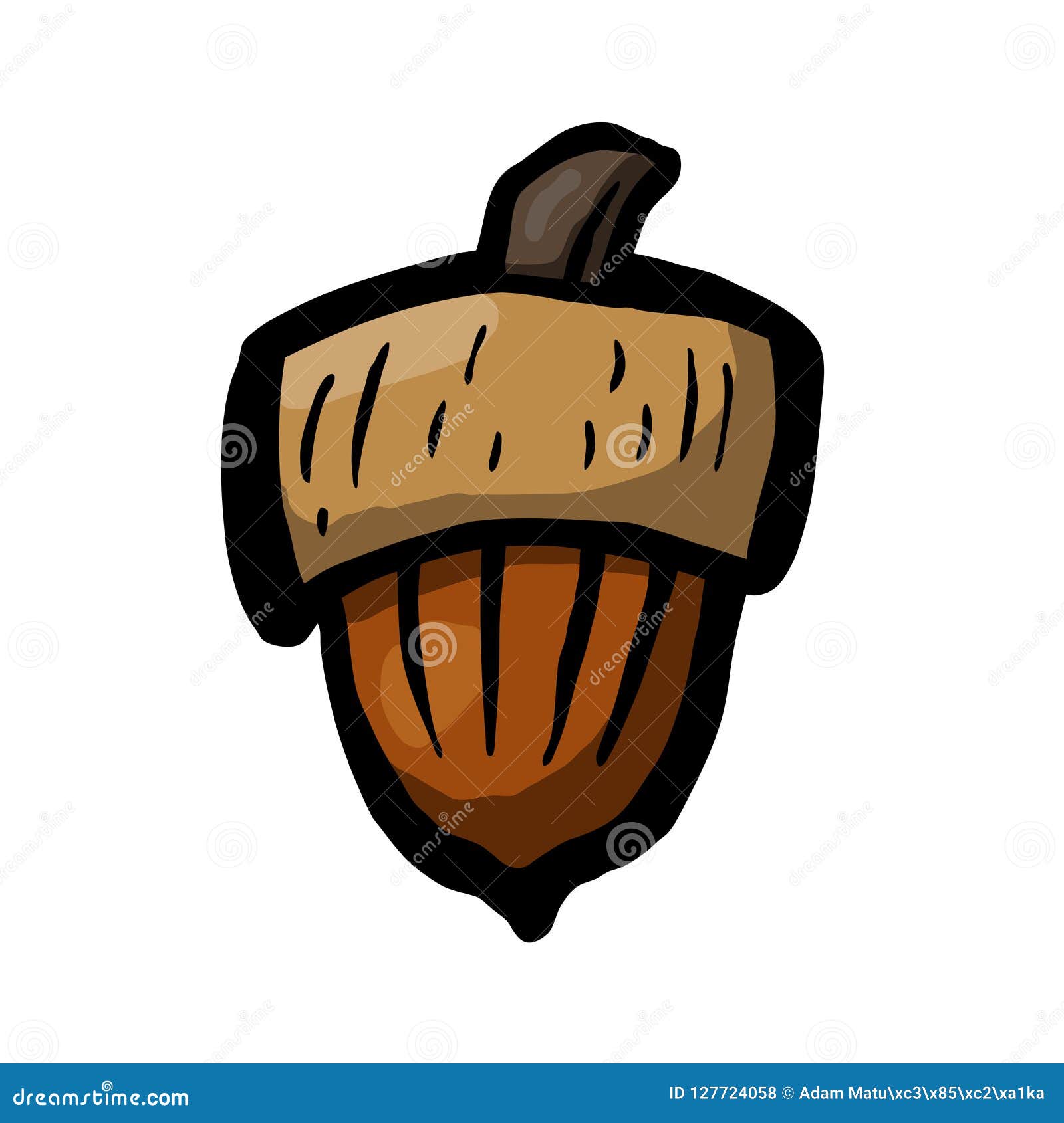 Painted cartoon of acorn stock vector. Illustration of freehand - 127724058