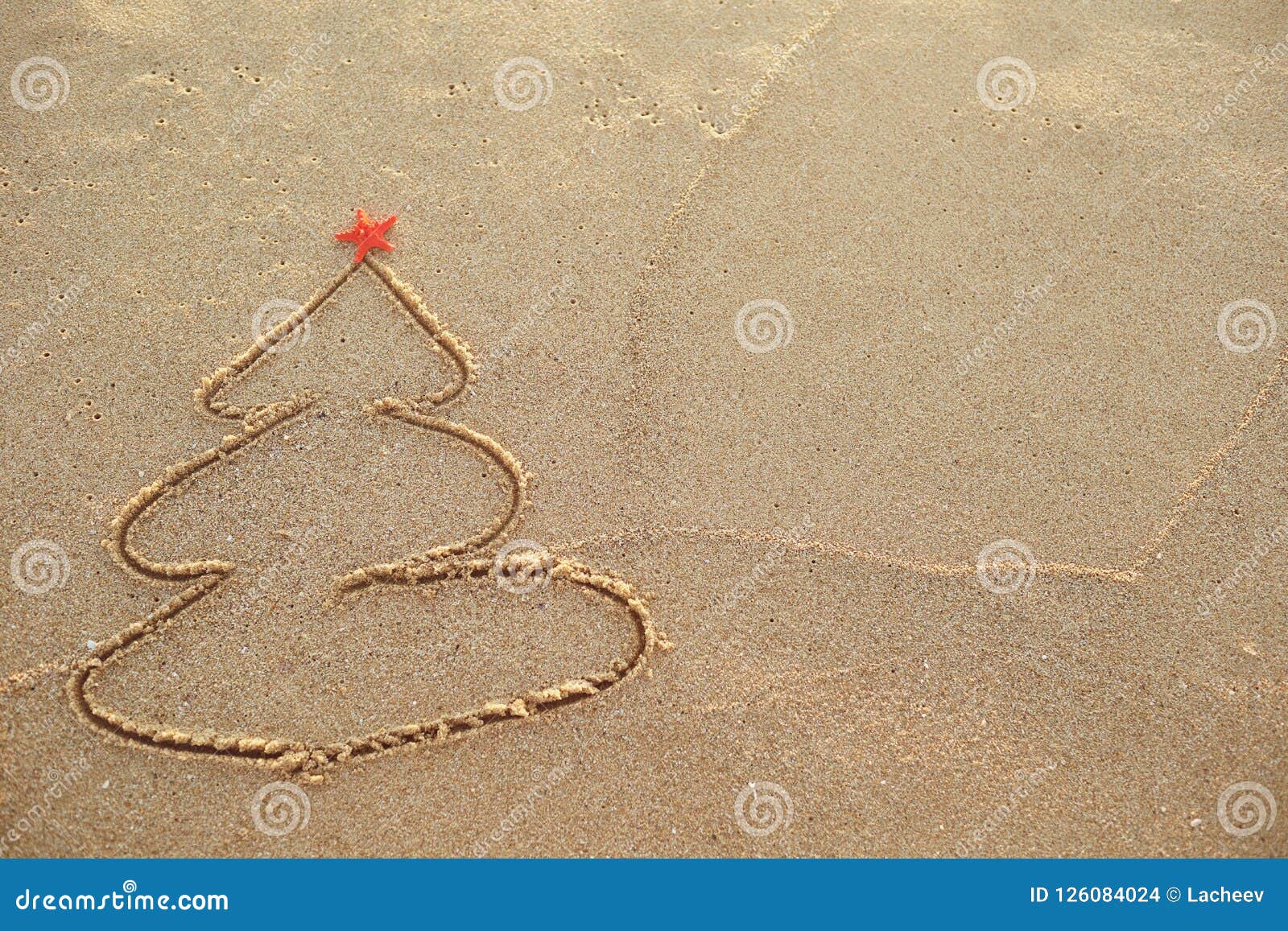 Painted Christmas Tree in the Sand on the Beach. Stock Photo - Image of ...