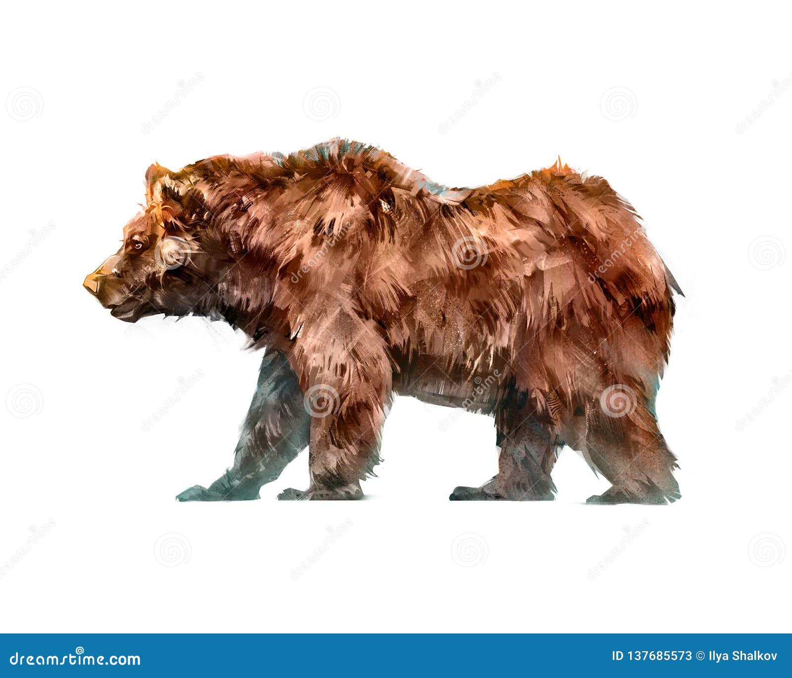 Painted Colored Animal Walking Bear Side View Stock Illustration ...