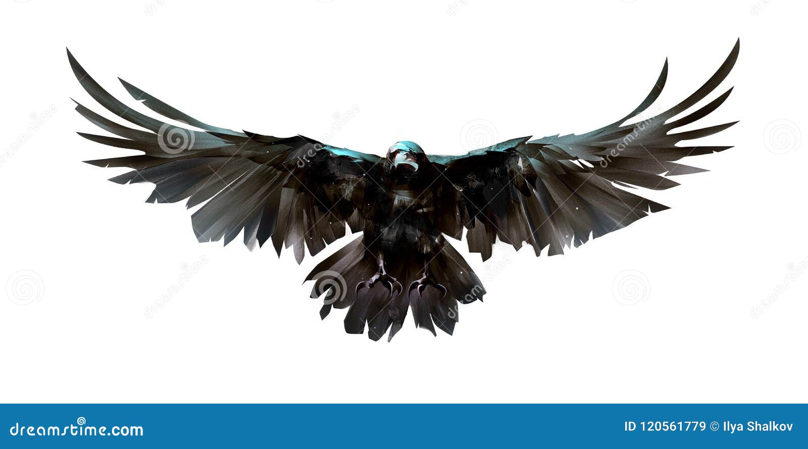 Flying Crows Front View