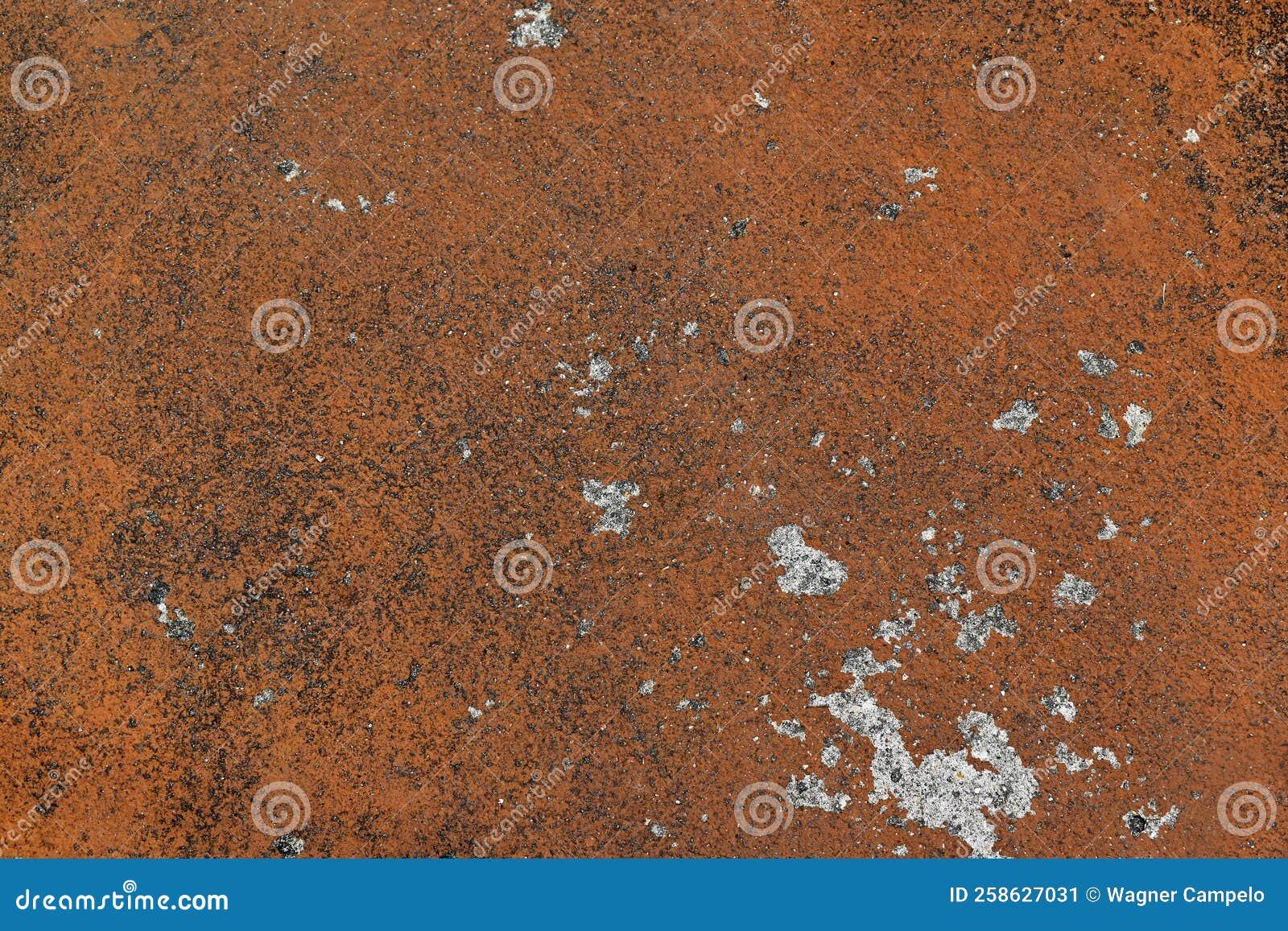 Painted Concrete Floor Surface Texture, Rio Stock Image - Image of ...