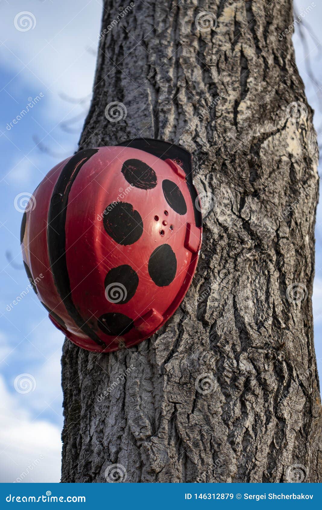 Ladybug Construction Helmets Stock Photos - Free & Royalty-Free Stock ...