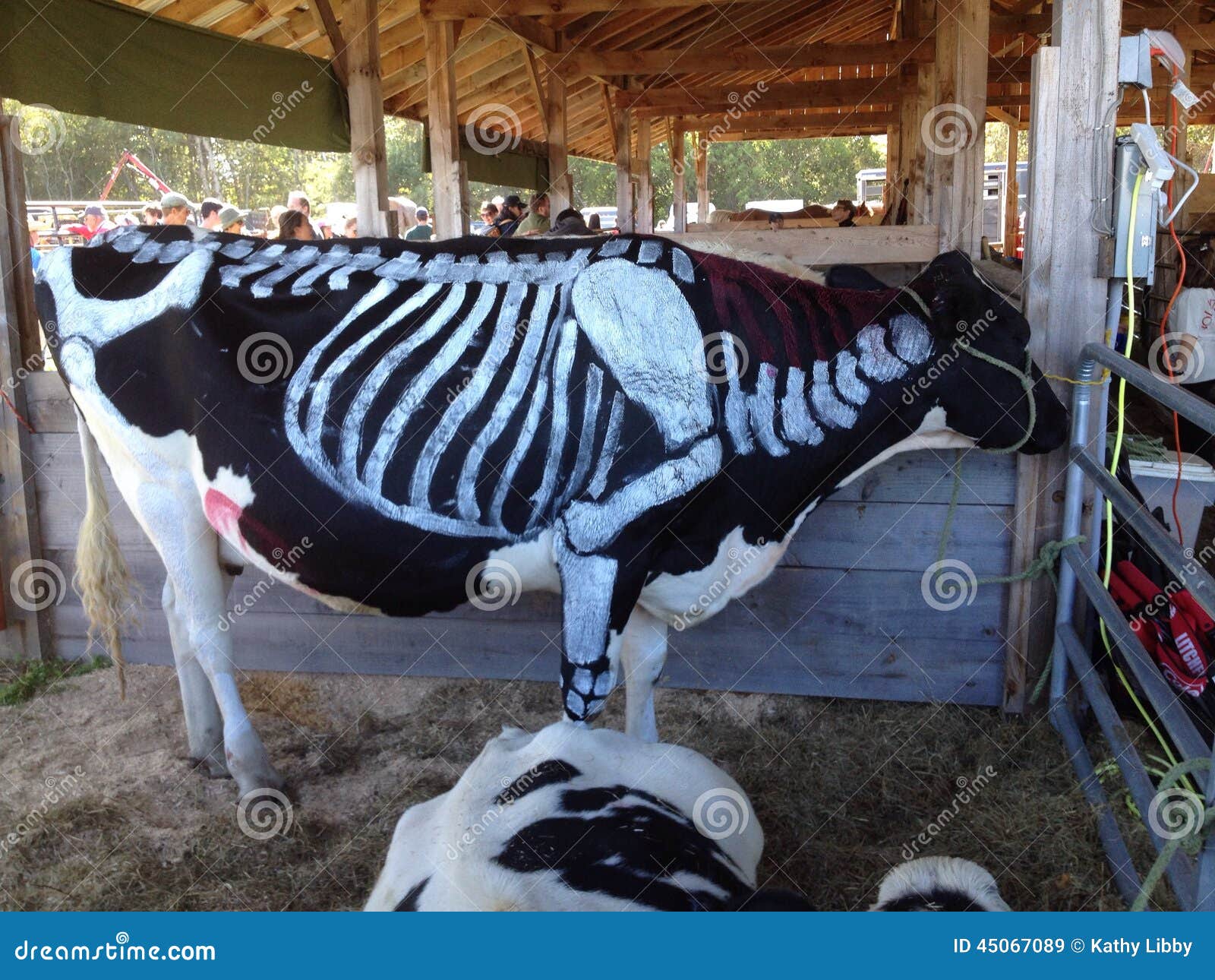 Painted cow editorial stock image. Image of skeleton - 45067089