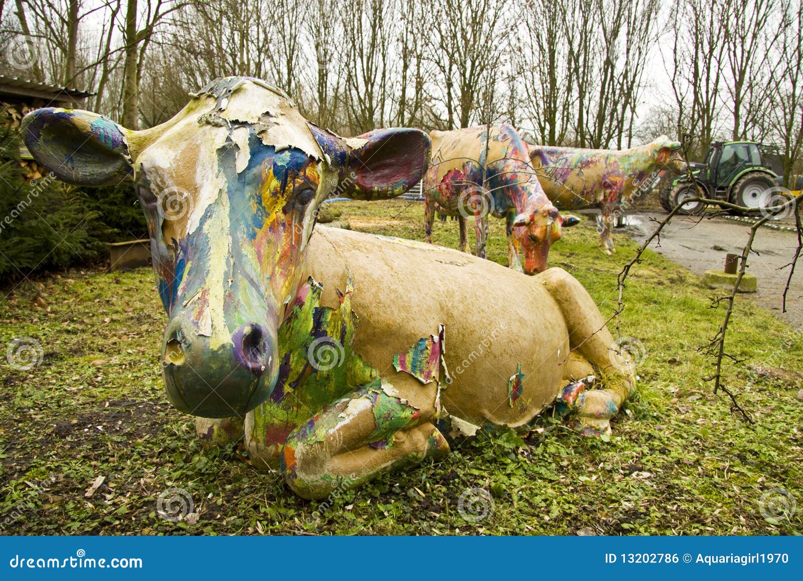 Painted cows stock photo. Image of tractor, trees, path - 13202786