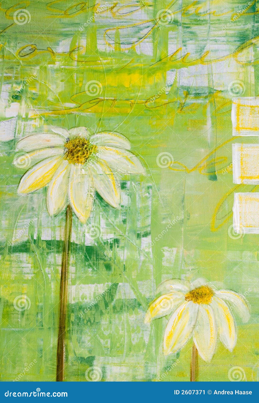Painted daisy flowers stock illustration. Illustration of spring - 2607371