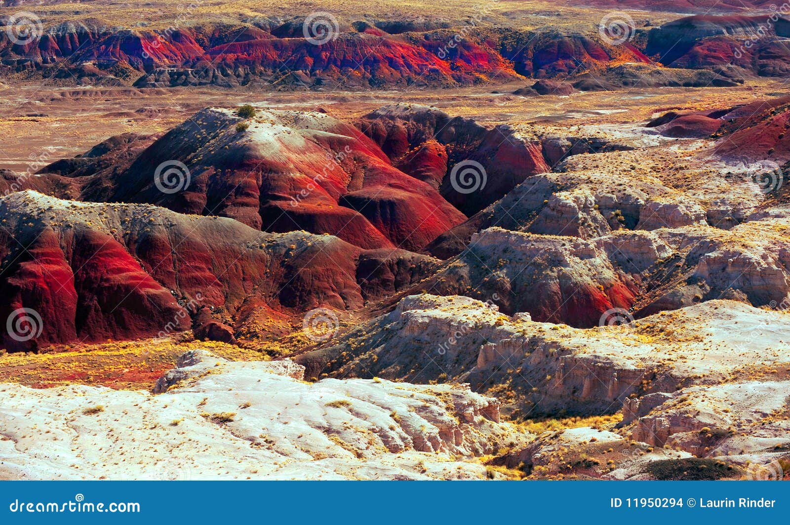 Painted Desert stock photo. Image of mountain, soil, stone - 11950294
