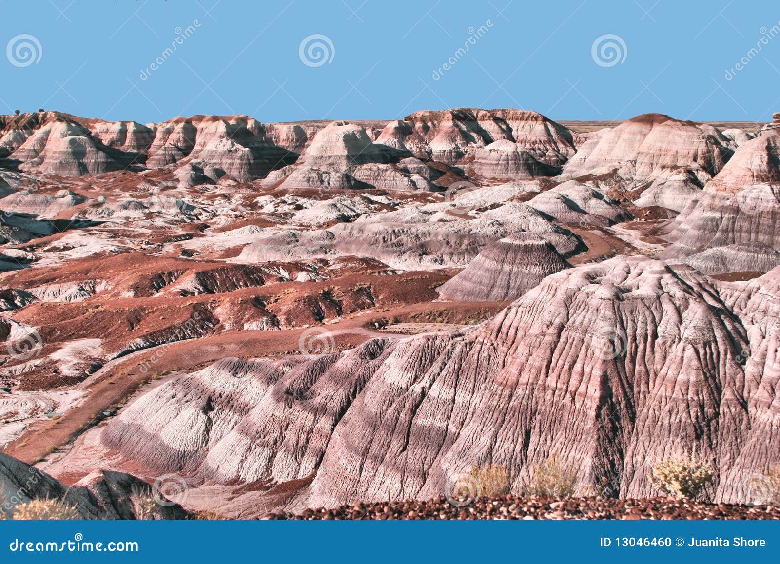 Painted desert stock photo. Image of landscape, petrified - 13046460