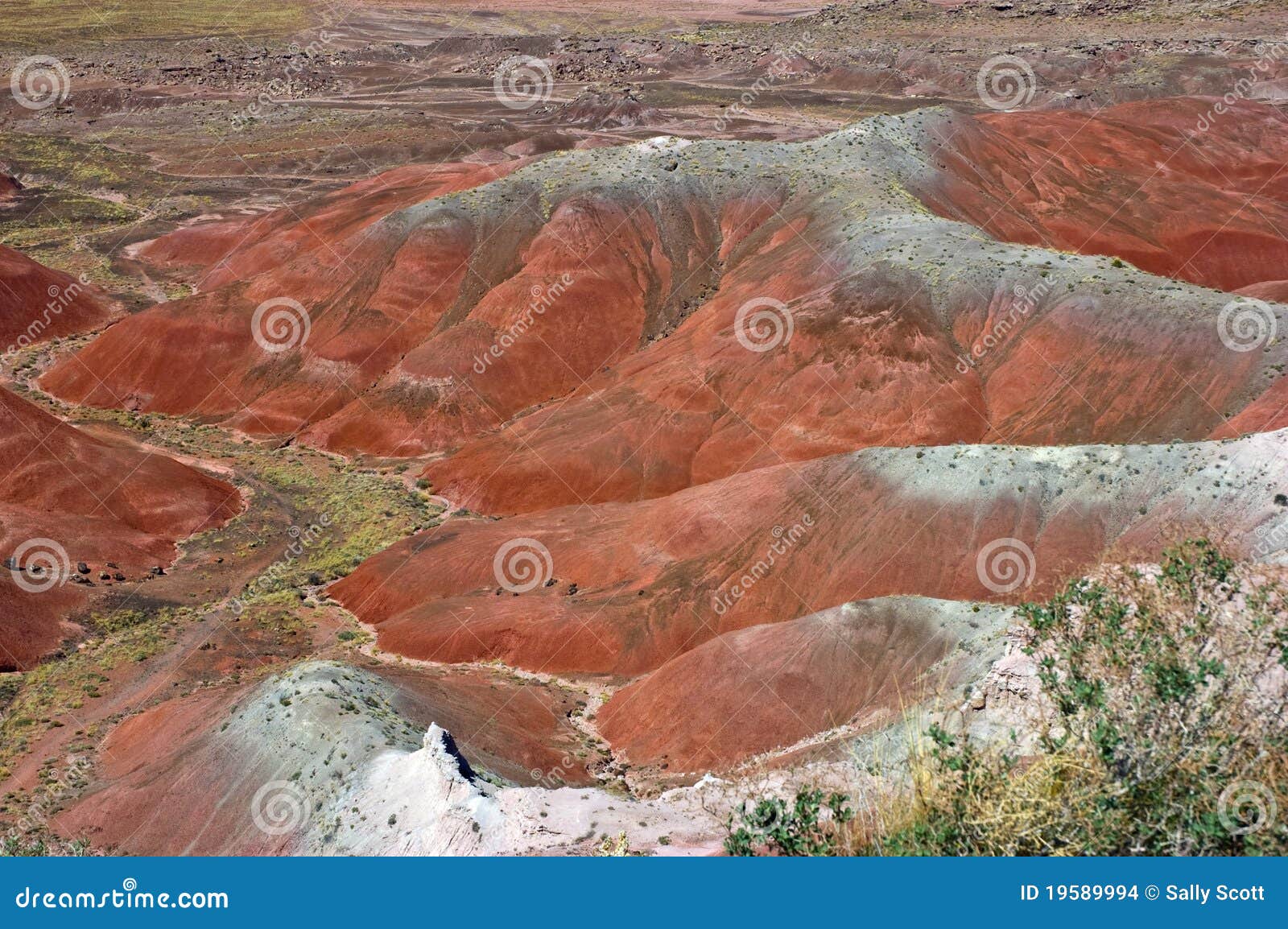 Painted Desert stock photo. Image of earth, nature, colorful - 19589994