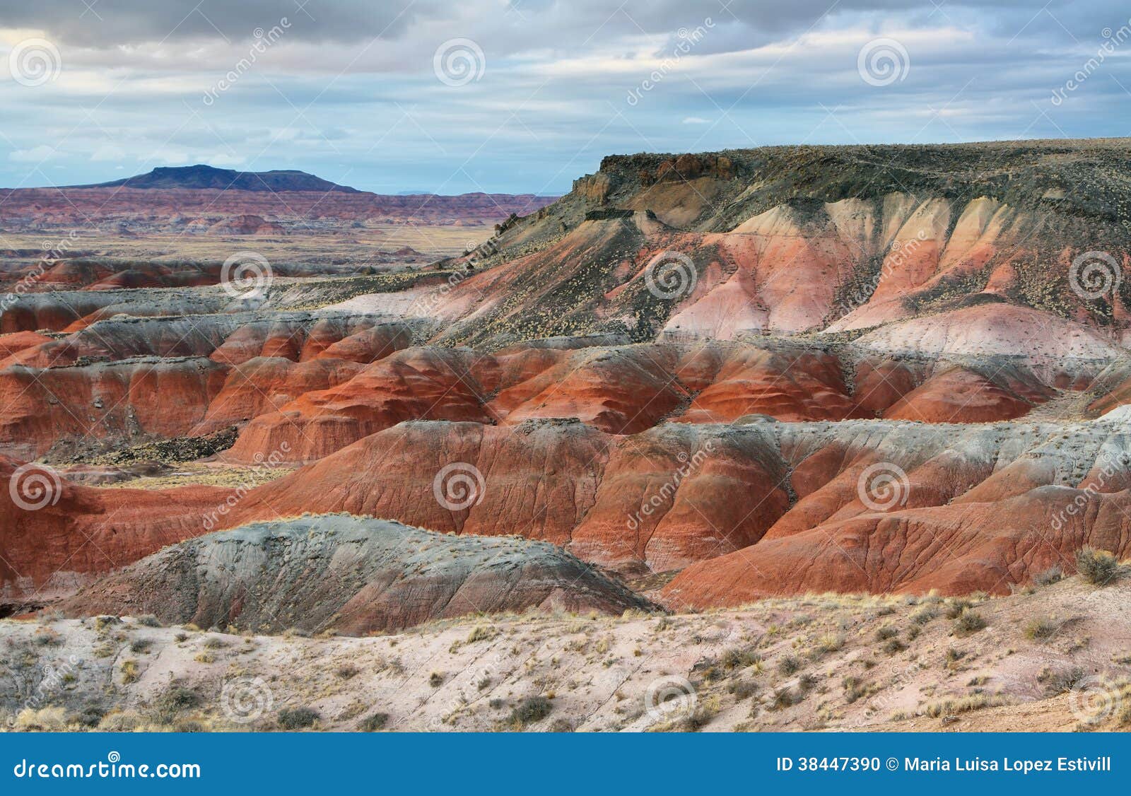 Painted Desert, Petrified Forest National Park Stock Photo - Image of ...
