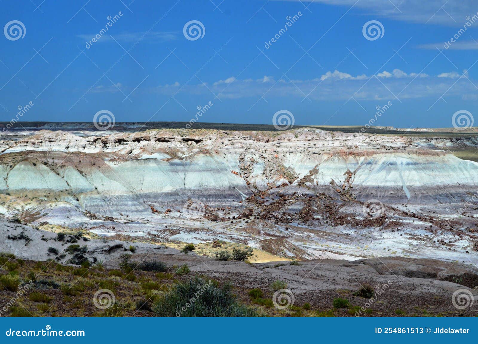 Painted Desert stock image. Image of green, petrified - 254861513