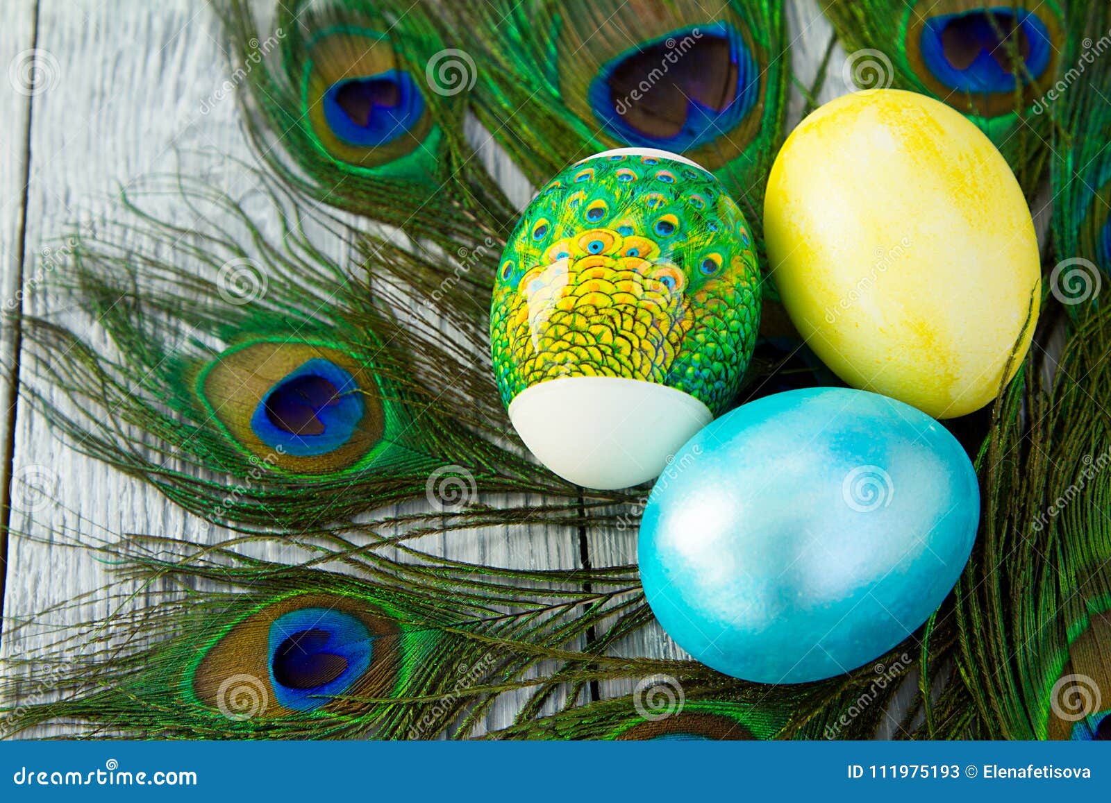 Painted Easter Egg on Peacock Feathers Stock Image - Image of ...
