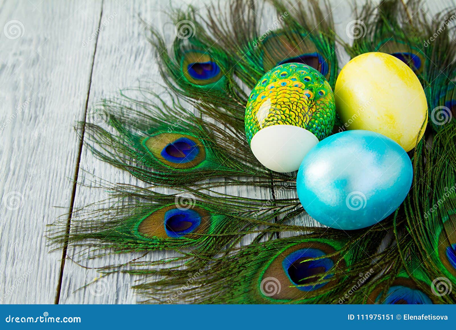 Painted Easter Egg on Peacock Feathers Stock Image - Image of grunge ...