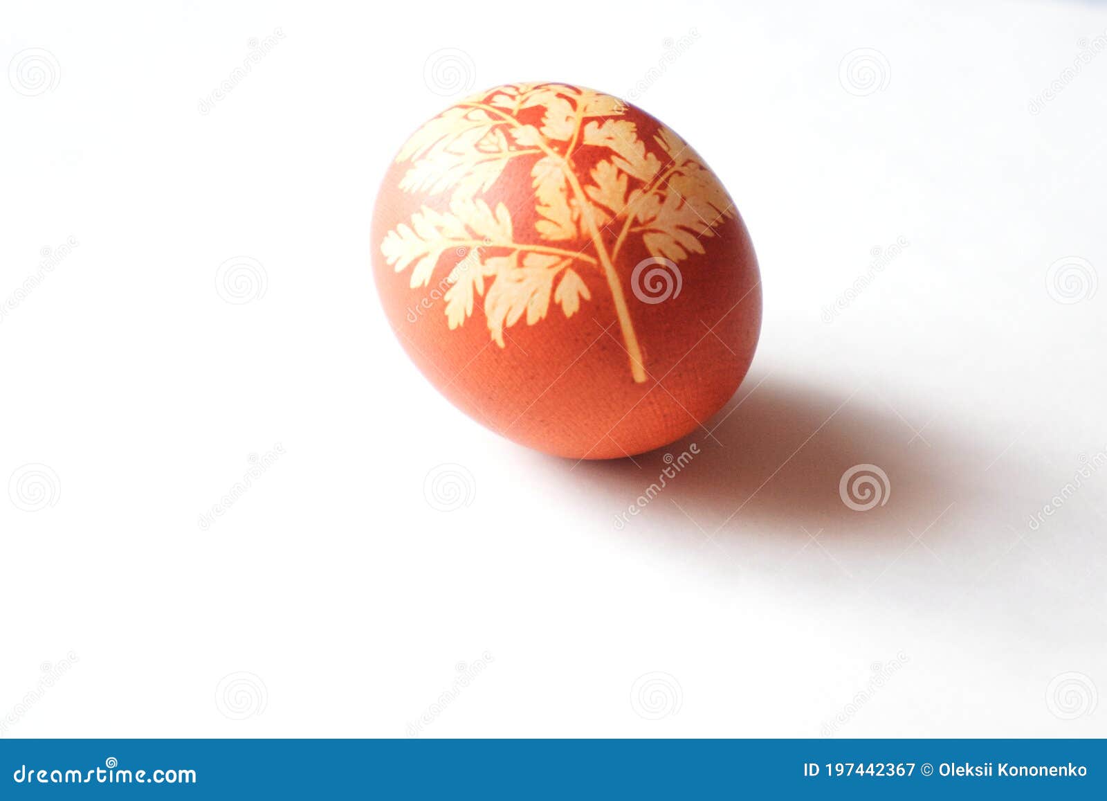 Painted Easter Egg on a White Background. Floral Pattern on a Red ...