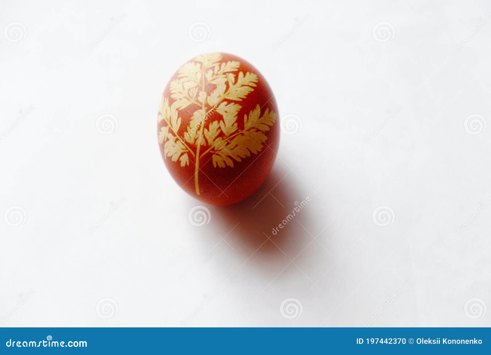 Painted Easter Egg on a White Background. Floral Pattern on a Red ...