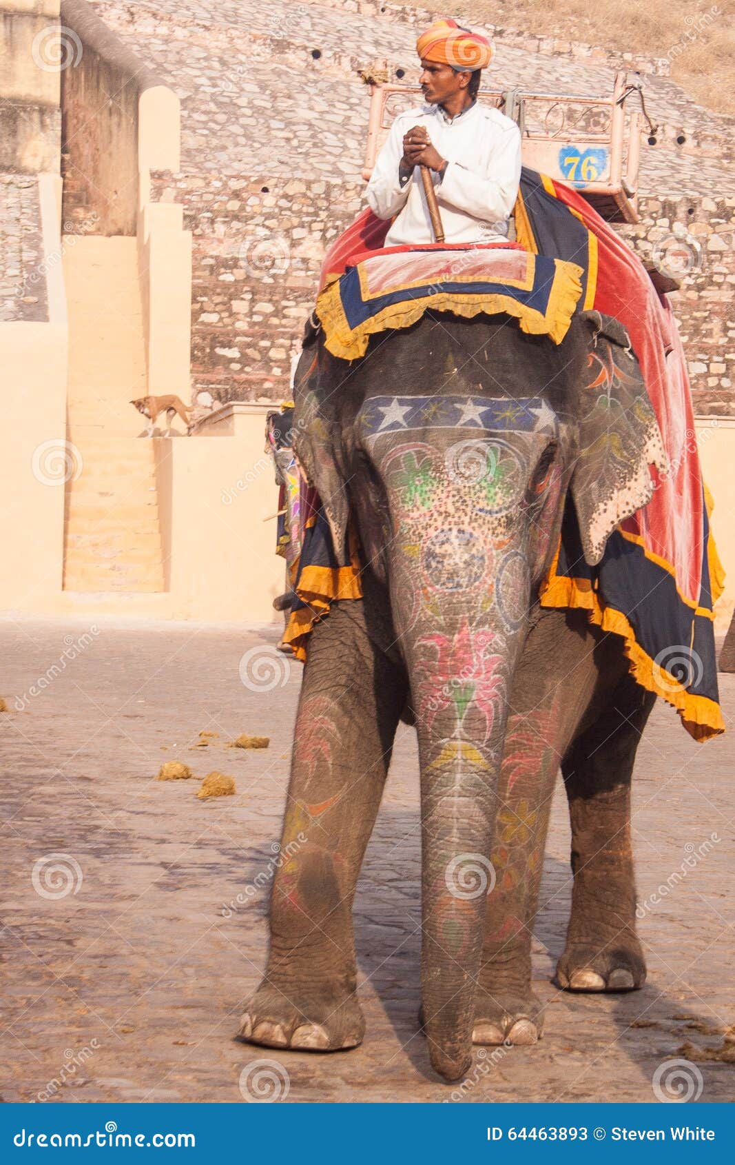 Painted Elephant with Rider in Jaipur Editorial Stock Photo - Image of ...