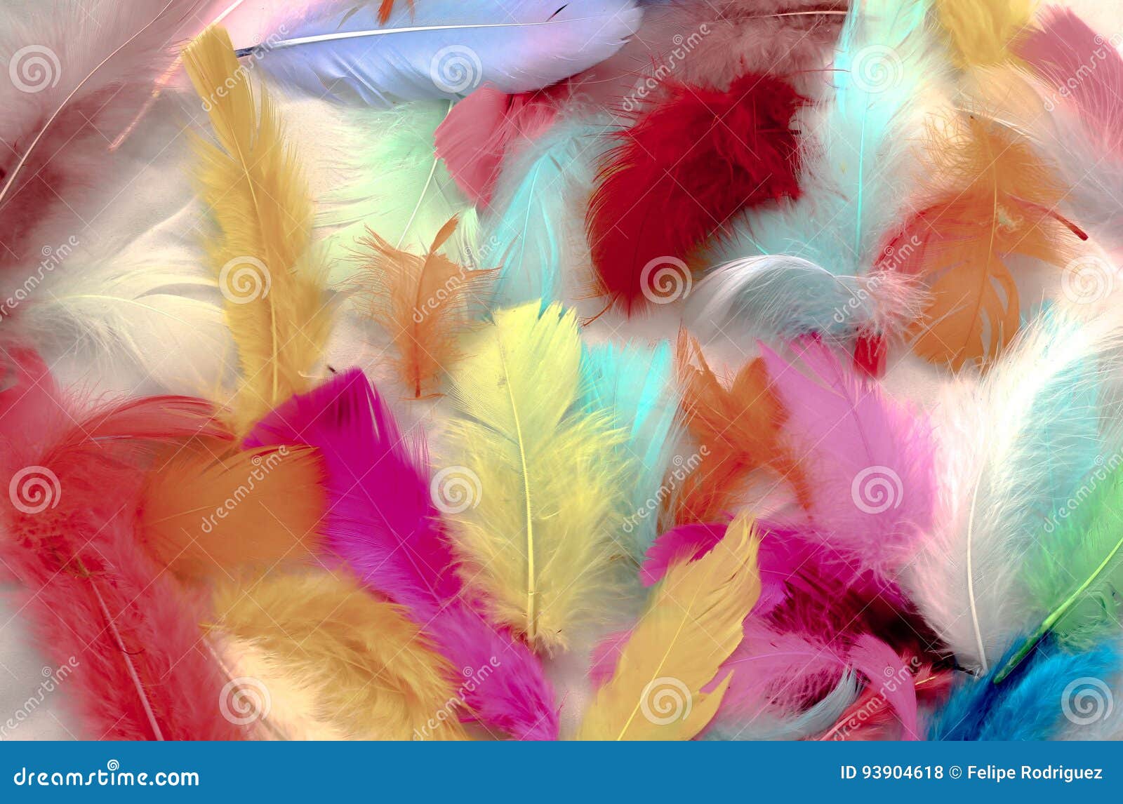 Painted Feathers stock photo. Image of beautiful, cielo - 93904618