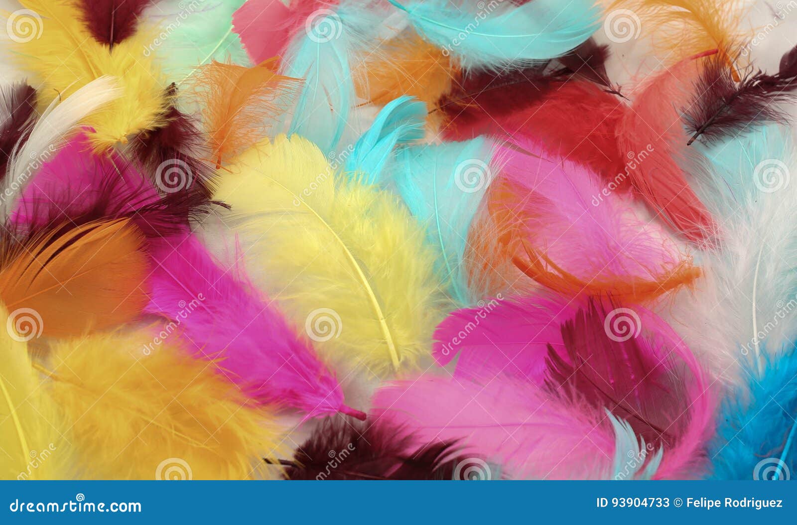 Painted Feathers stock image. Image of inside, abstracto - 93904733